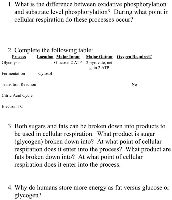SOLVED: What is the difference between oxidative phosphorylation and substrate-level ...