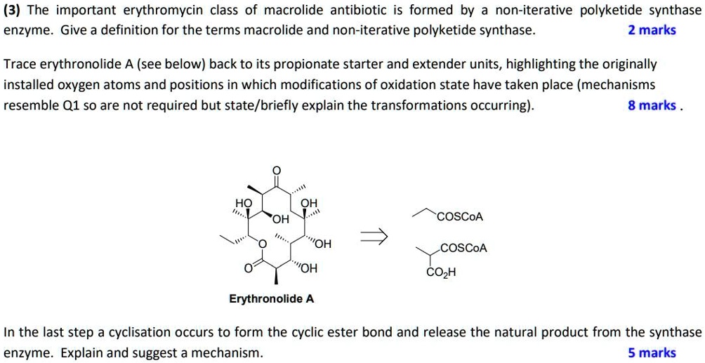 (3) The important erythromycin class of macrolide antibiotic is formed ...