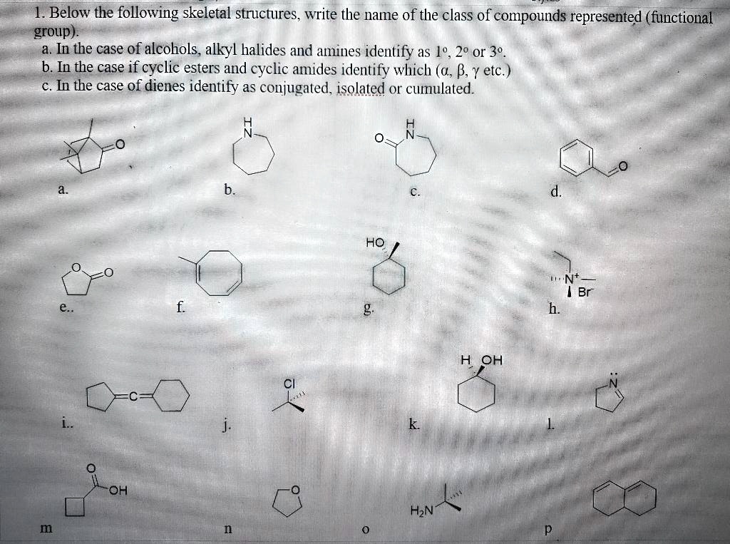 1 below the following skeletal structures write the name of the class ...