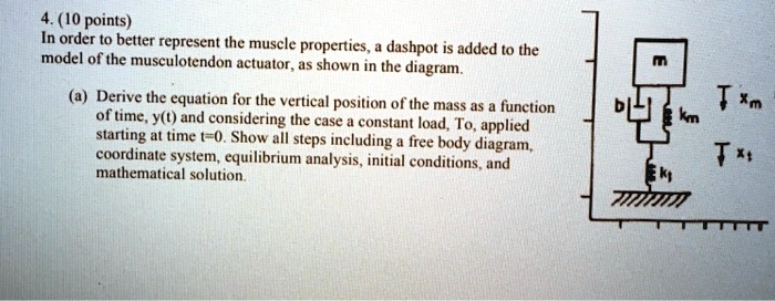 SOLVED: Biomechanics help! 4.(10 points) In order to better represent ...