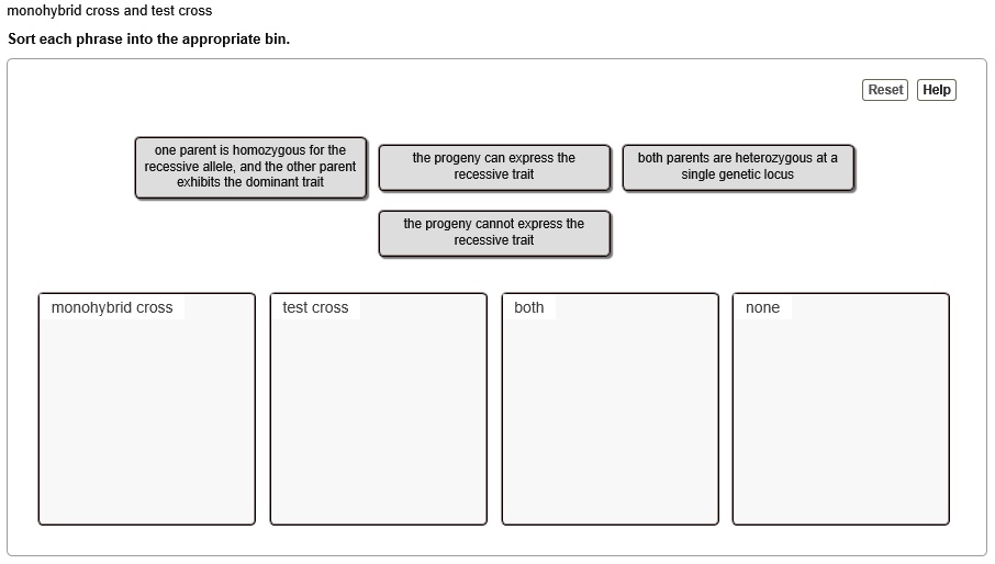 monohybrid cross and test cross Sort each phrase into the appropriate ...