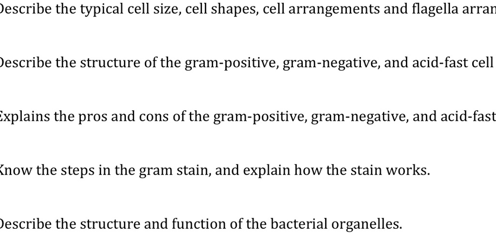 Describe the typical cell size, cell shapes, cell arrangements and ...