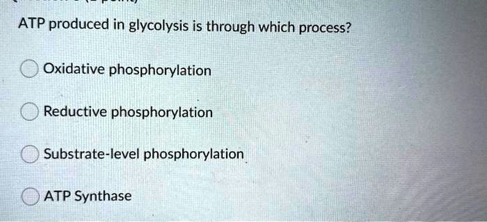 atp produced in glycolysis is through which process oxidative ...
