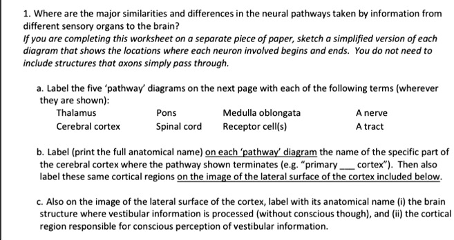 SOLVED:1. Where are the major similarities and differences in the ...
