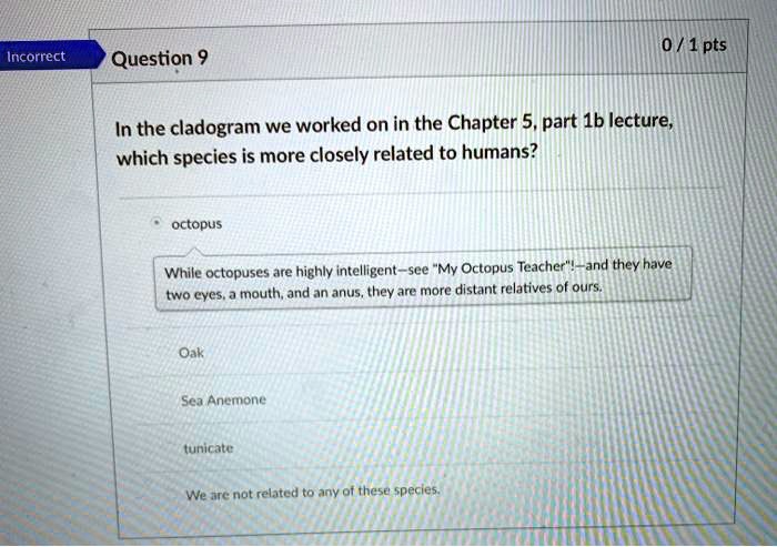 SOLVED: In the cladogram we worked on in the Chapter 5, part 1b lecture ...