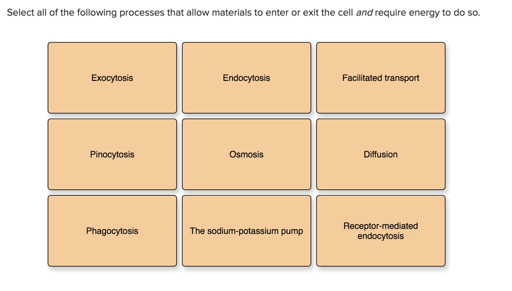 select all of the following processes that allow materials to enter or ...