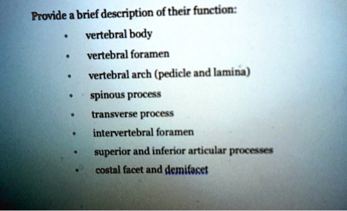 SOLVED: Provide a brief description of their function: vertebral body ...