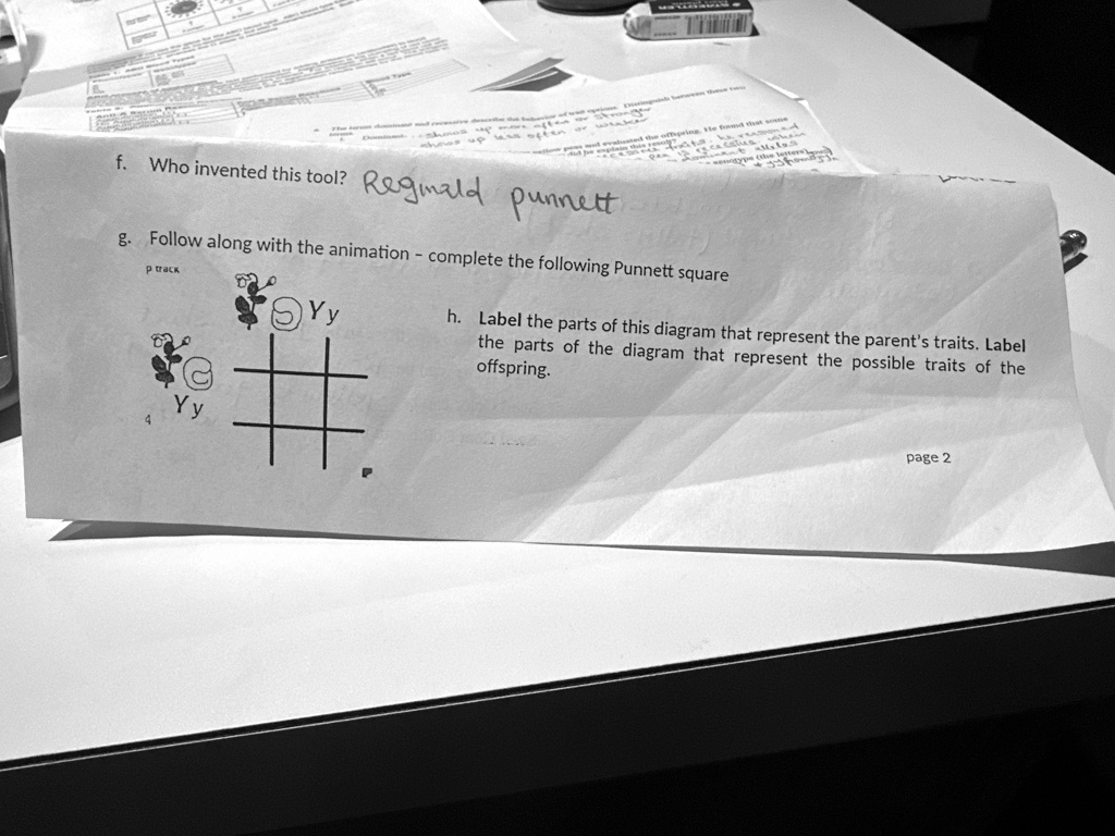 f. Who invented this tool? Reginald Punnett g. Follow along with the ...