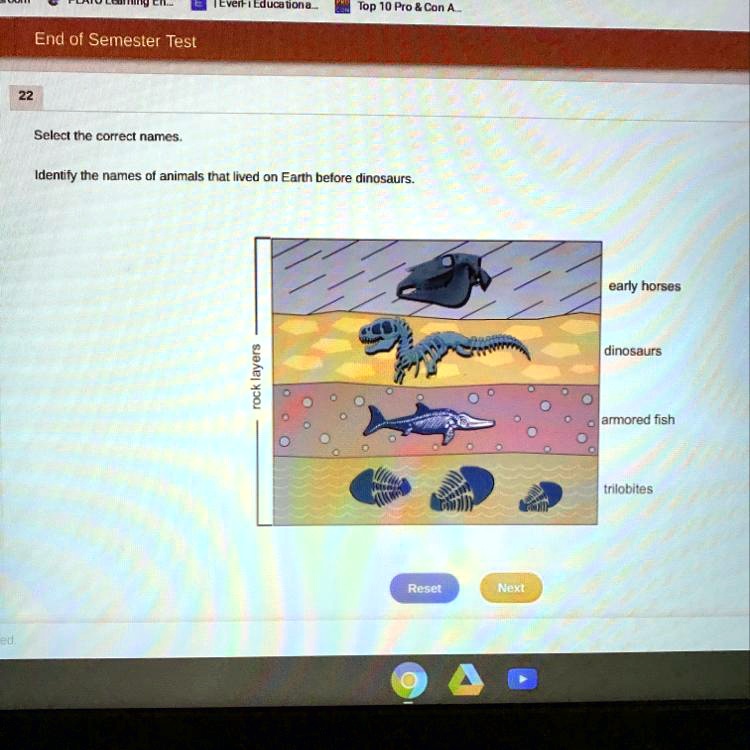 22 End of Semester Test Select the correct names. Identify the names of ...