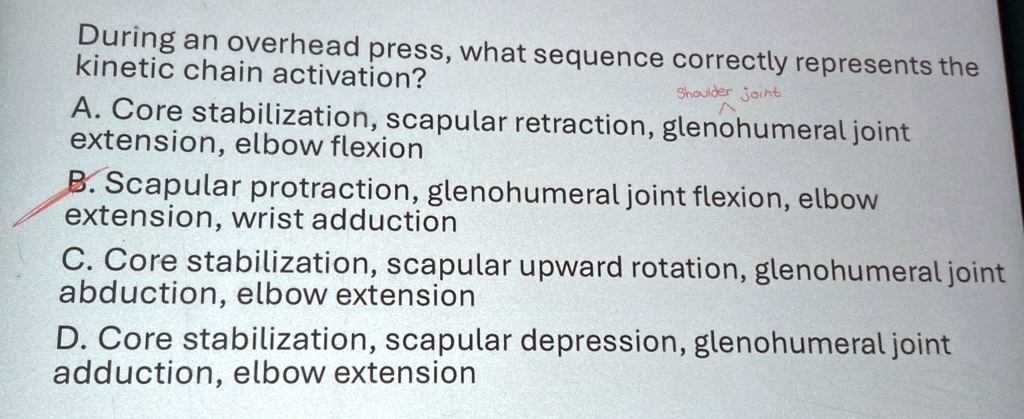 during an overhead press what sequence correctly represents the kinetic ...