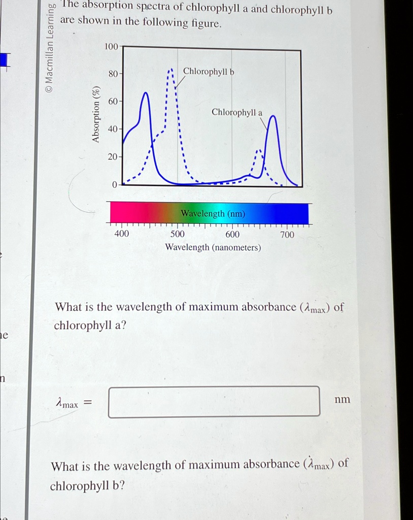 SOLVED: bo The absorption spectra of chlorophyll a and chlorophyll b are shown in the following ...