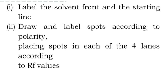 SOLVED:(i) Label the solvent front and the starting line (ii) Draw and ...