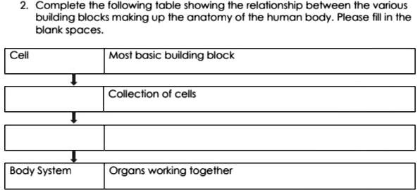 2. Complete the following table showing the relationship between the ...