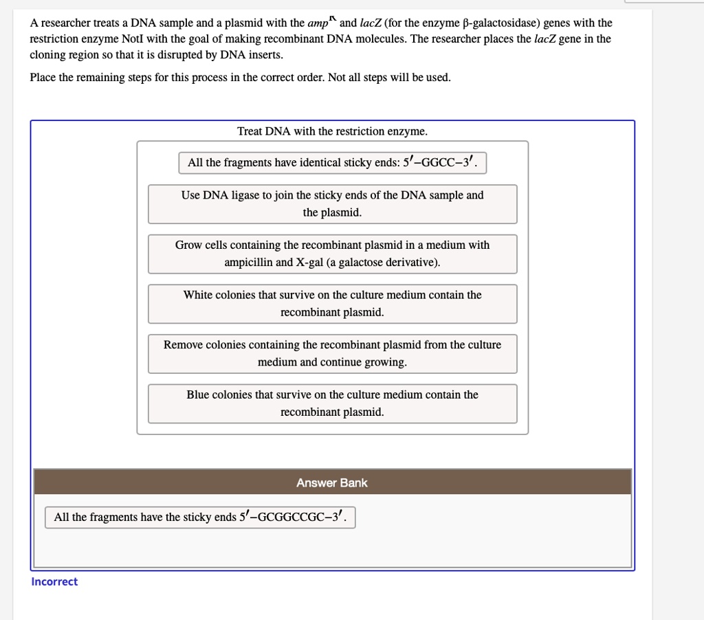 SOLVED: A researcher treats DNA sample and a plasmid with the amp and ...