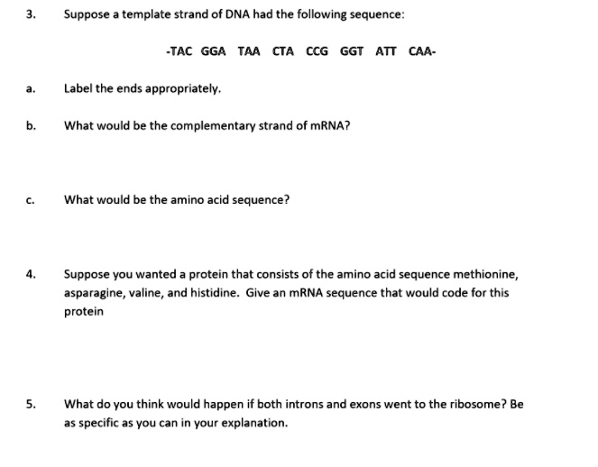 SOLVED: Suppose the template strand of DNA had the following sequence: TAC GGA TAA CTA CCG GGT ...