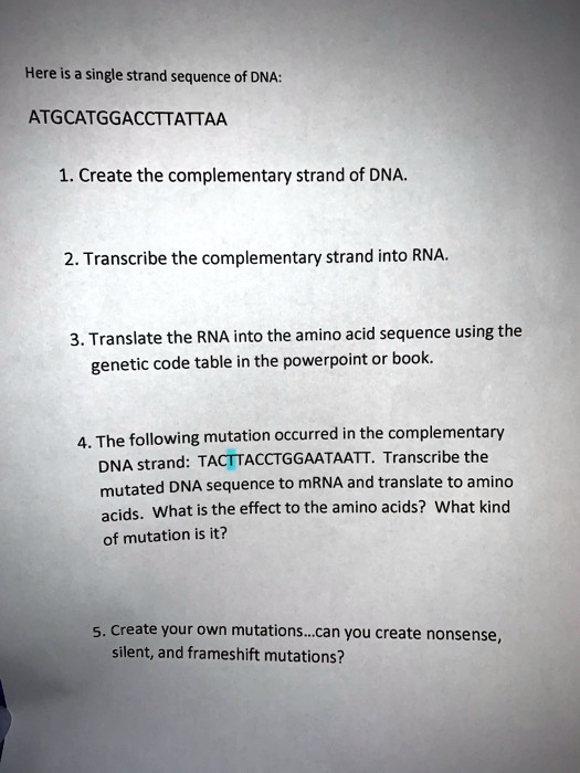 Solved Here Is A Single Strand Sequence Of Dna Atgcatggaccttattaa Create The Complementary