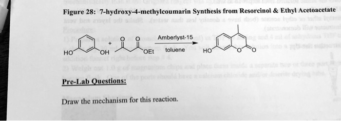 SOLVED: Figure 28: 7-hydroxy-4-methylcoumarin Synthesis from Resorcinol ...