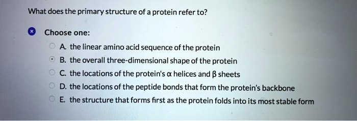 SOLVED: What does the primary structure of a protein refer to? Choose ...