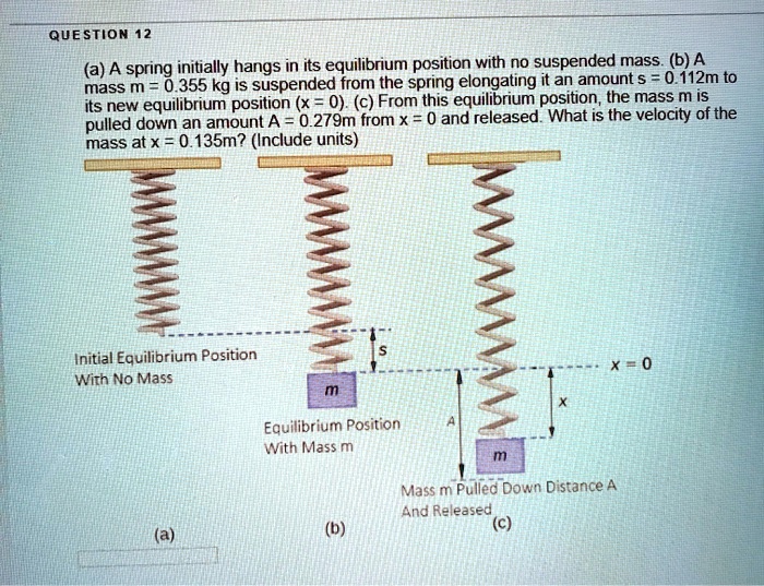 SOLVED: (a) A initially hangs in its equilibrium position with no ...