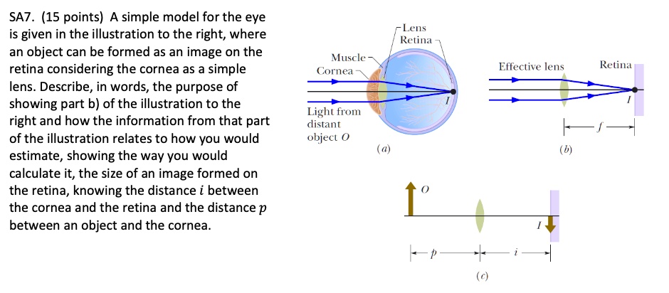 SOLVED:SAZ (15 points) A simple model for the eye is given in the ...