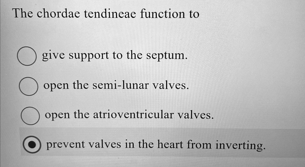 the chordae tendineae function to give support to the septum open the ...