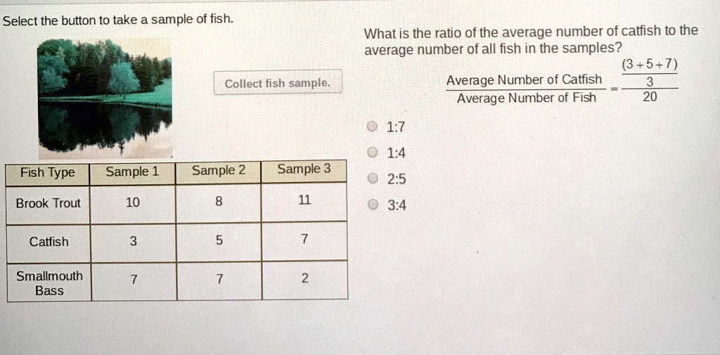 SOLVED: 'help please thanks! Select the button to take a sample of fish ...