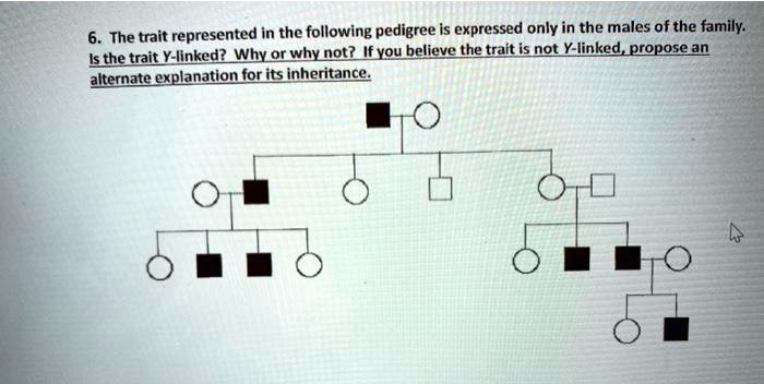 SOLVED: The trait represented in the following pedigree is expressed ...