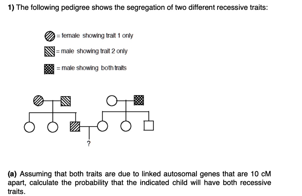 1 the following pedigree shows the segregation of two different ...