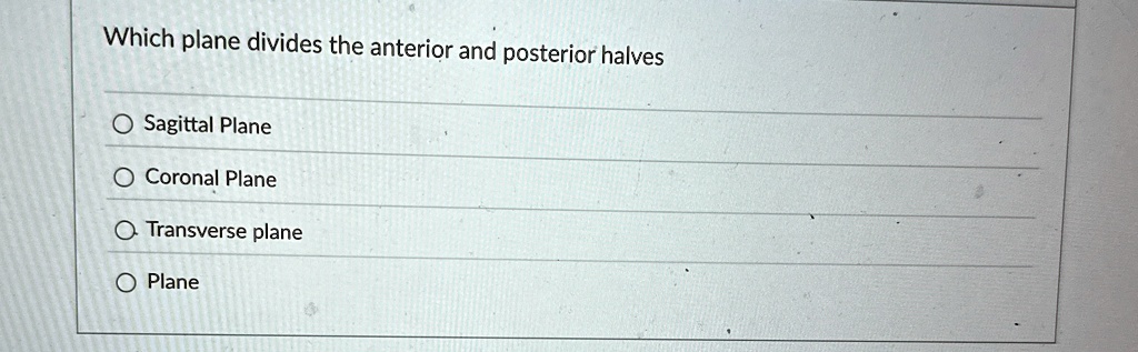 which plane divides the anterior and posterior halves sagittal plane ...