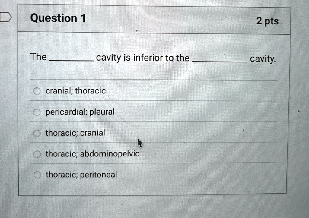 question 1 2 pts the cavity is inferior to the cavity cranial thoracic ...