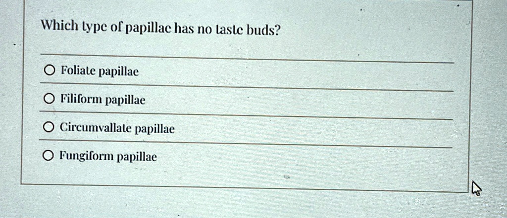 which type of papillac has no taste buds foliate papillae filiform ...