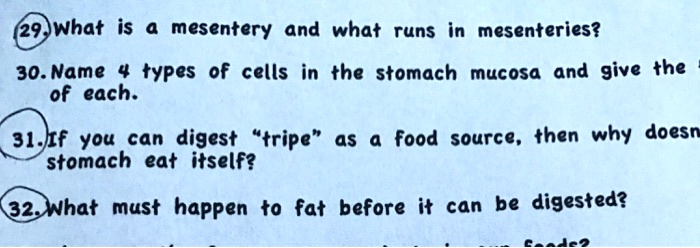 SOLVED: (29) What is mesentery and what runs in mesenteries? 30.Name ...