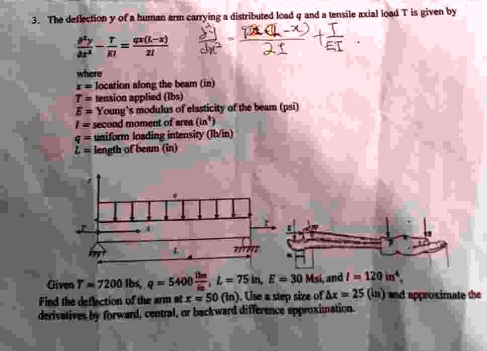 3 the deflection y of a human arm carrying a distributed load q and a ...