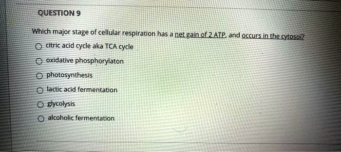 SOLVED: QUESTION 9 Which major stage of cellular respiration has net ... SOLVED: QUESTION 9 Which major stage of cellular respiration has net ...