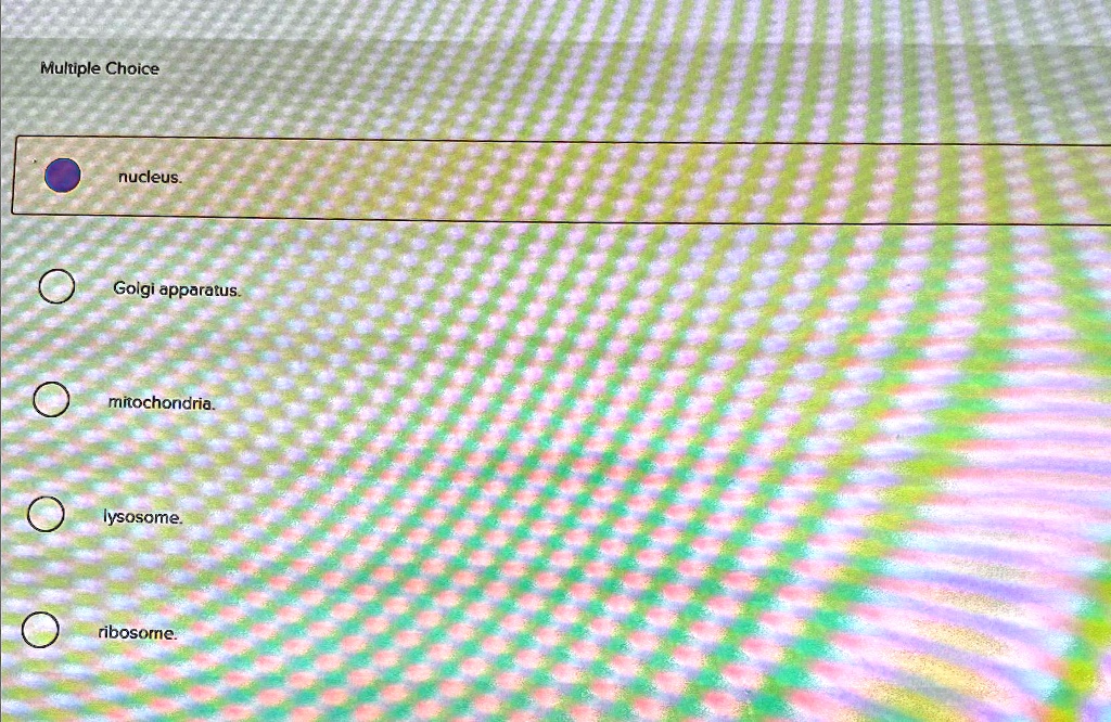 Multiple Choice nucleus. Golgi apparatus. mitochondria. lysosome. ribosome.