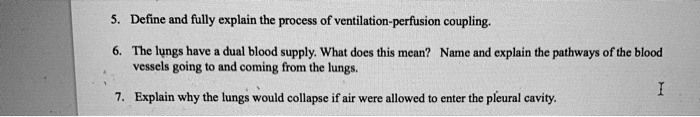 5. Define and fully explain the process of ventilation-perfusion ...