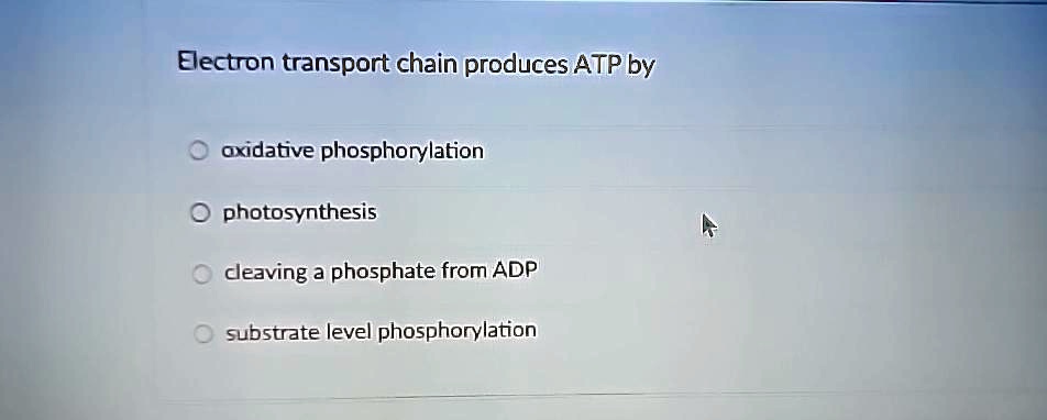 SOLVED: Electron transport chain produces ATP by oxidative ...