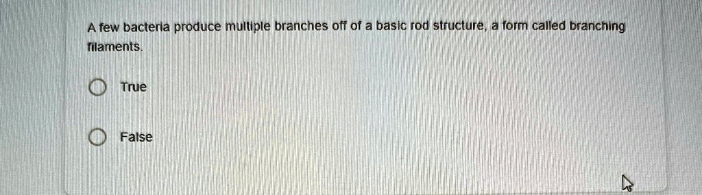 A few bacteria produce multiple branches off of a basic rod structure ...