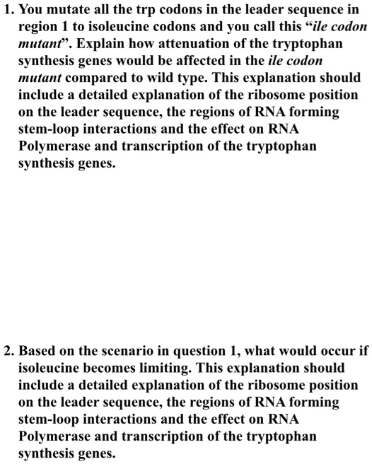 SOLVED:1. You mutate all the trp codons in the leader sequence in ...
