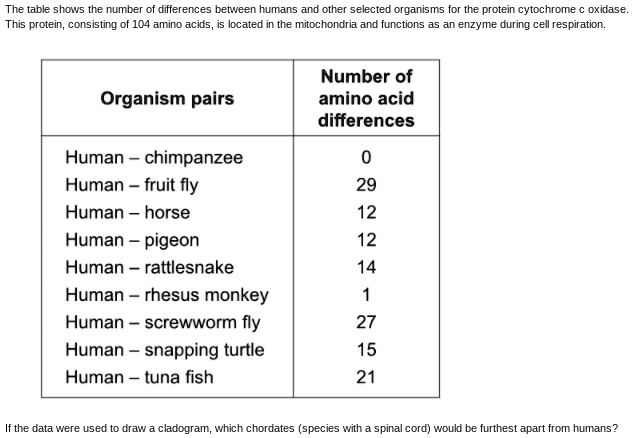 SOLVED: The table shows the number of differences between humans and ...