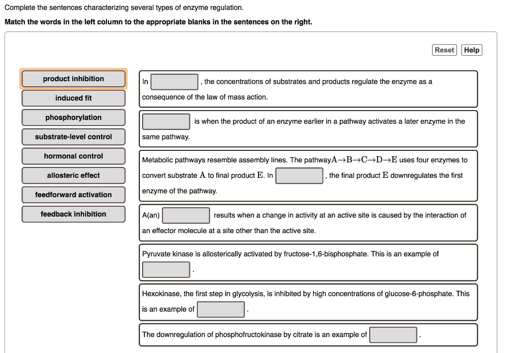 SOLVED: Complete the sentences characterizing several types of enzyme ...