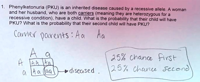 SOLVED: Phenylketonuria (PKU) is an inherited disease caused by a ...