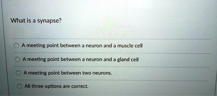 SOLVED: What is a synapse? A meeting point between a neuron and a muscle cell A meeting point ...