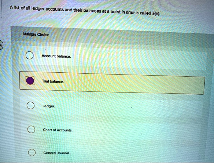 SOLVED: A list of all ledger accounts and their balances at a point in time is called a ...