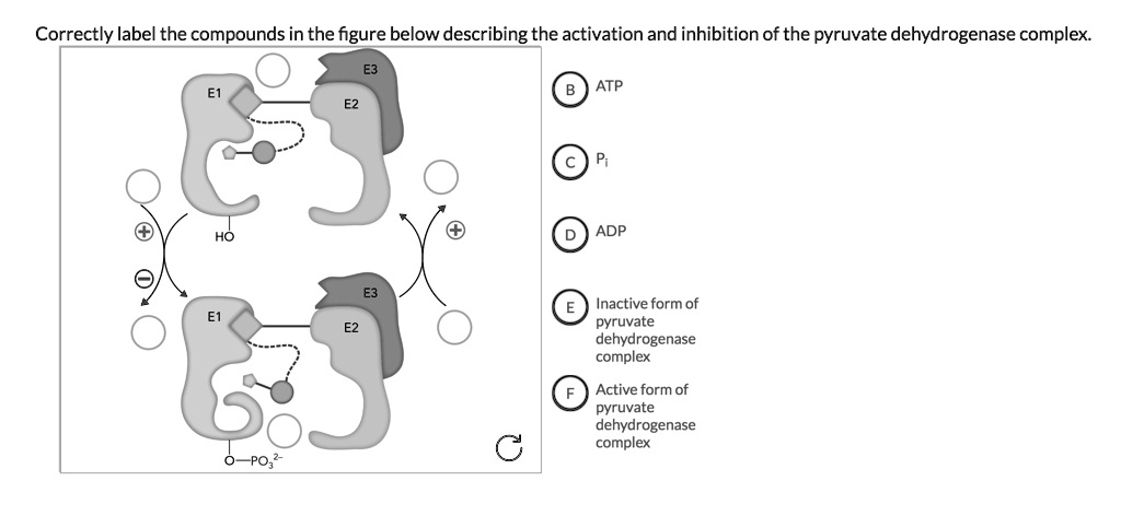 Correctly label the compounds in the figure below describing the ...