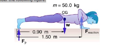 SOLVED: Consider the following figure. (a) What force in newtons should ...