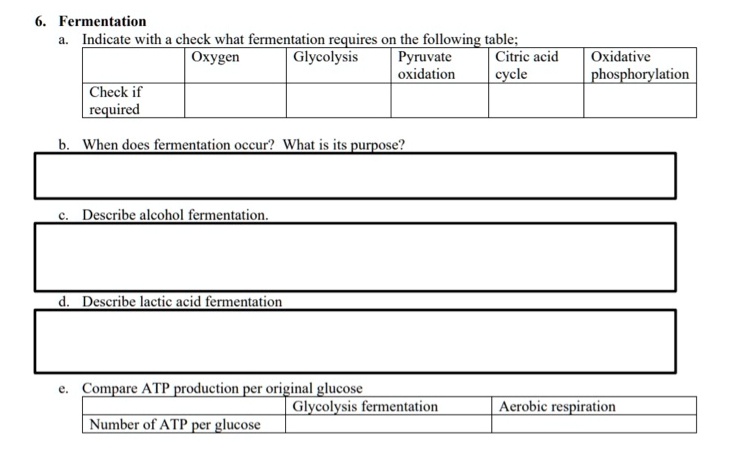 SOLVED: Fermentation Indicate with checkwhatfermentation requires on ...