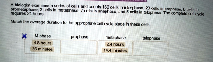 SOLVED: A biologist examines a series of cells and counts 160 cells in interphase, 20 cells in ...