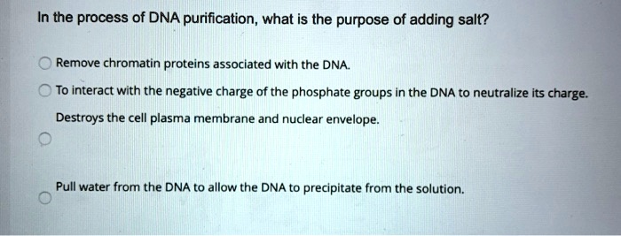 in the process of dna purification what is the purpose of adding salt ...