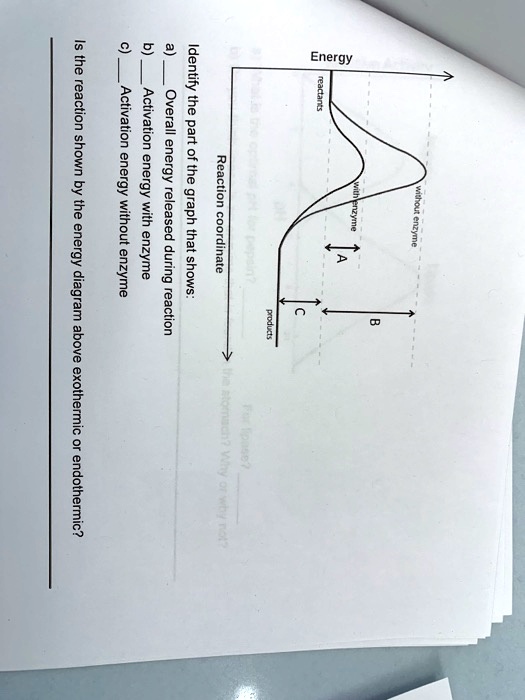 The identify energy reaction 2 the reactant activation shown...